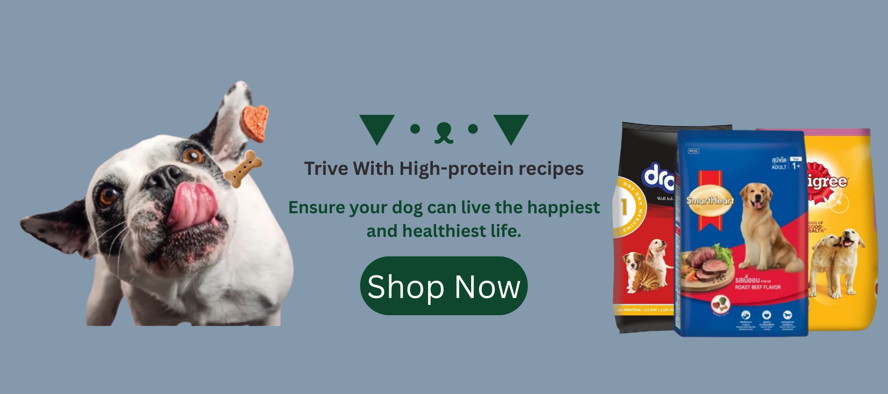 Pet food, treats, toys, flea control, essentials, and more – Hello Pets BD